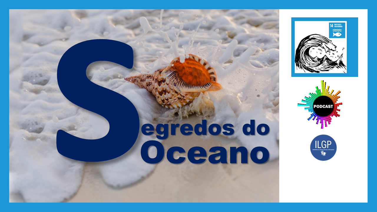 Segredos do Oceano | Episódio 1 | Estudo Autónomo